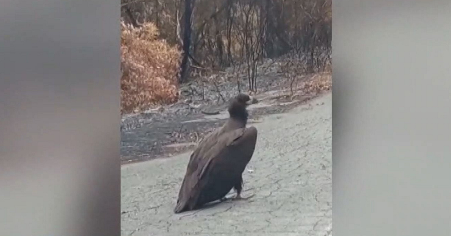 Ψιθύρισε «μαλ…α» ζωντανά στον αέρα της εκπομπής - psithyrise «mal…a ...