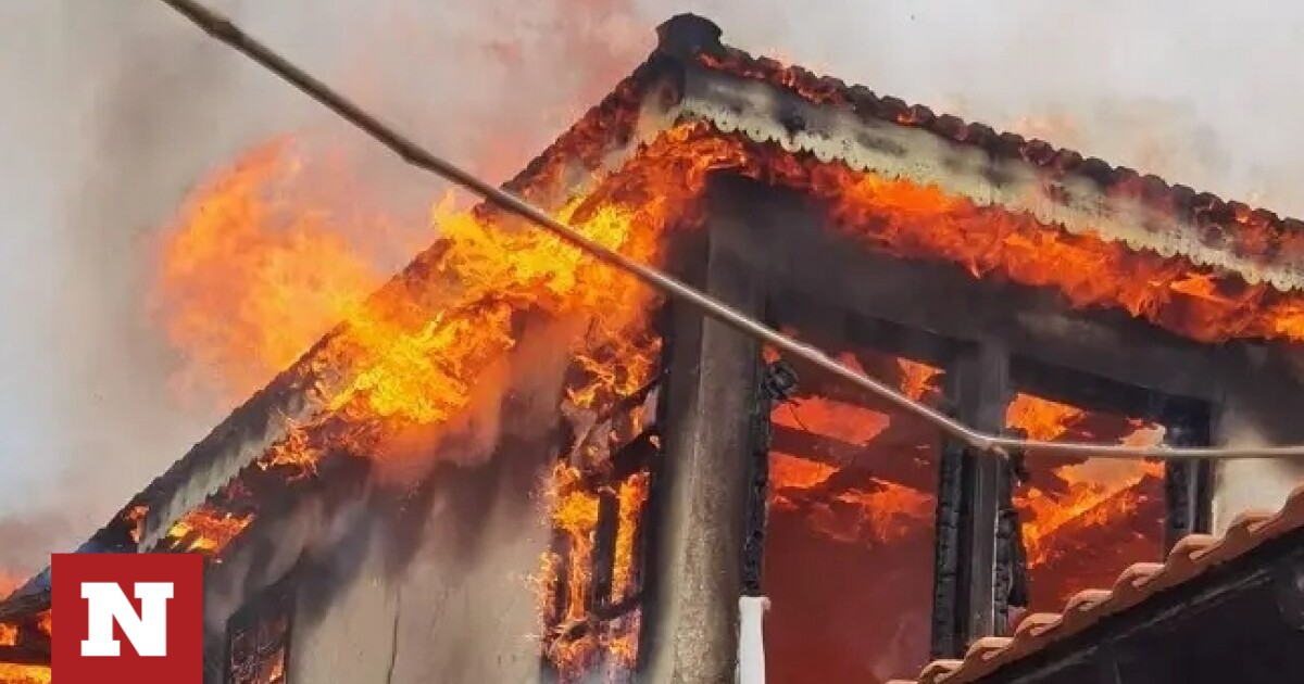 Φωτιά στο Άγιον Όρος – Στις φλόγες Κελλί της Σκήτης Αγίου Παντελεήμονος ...