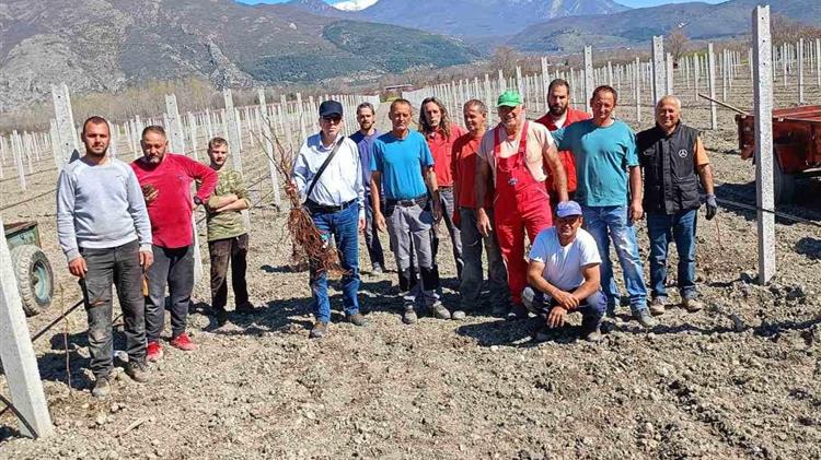 Εδαφολογικές Αναλύσεις και νέες φυτείες ακτινίδιων - edafologikes ...