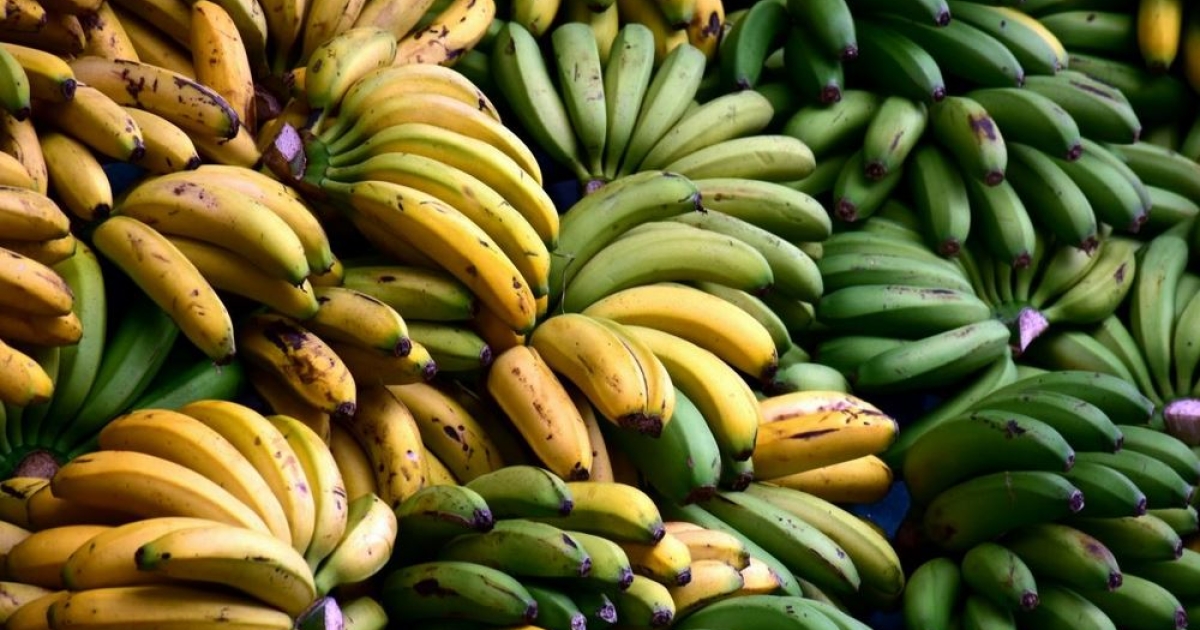 Αν δείτε αυτά στηv μπανάνα, πετάξτε την, μην τη φάτε - an deite afta ...