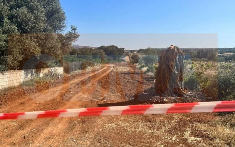 Δολοφονία στη Ραφήνα: Συνελήφθη ο δράστης – Τον κατονόμασε το θύμα ...