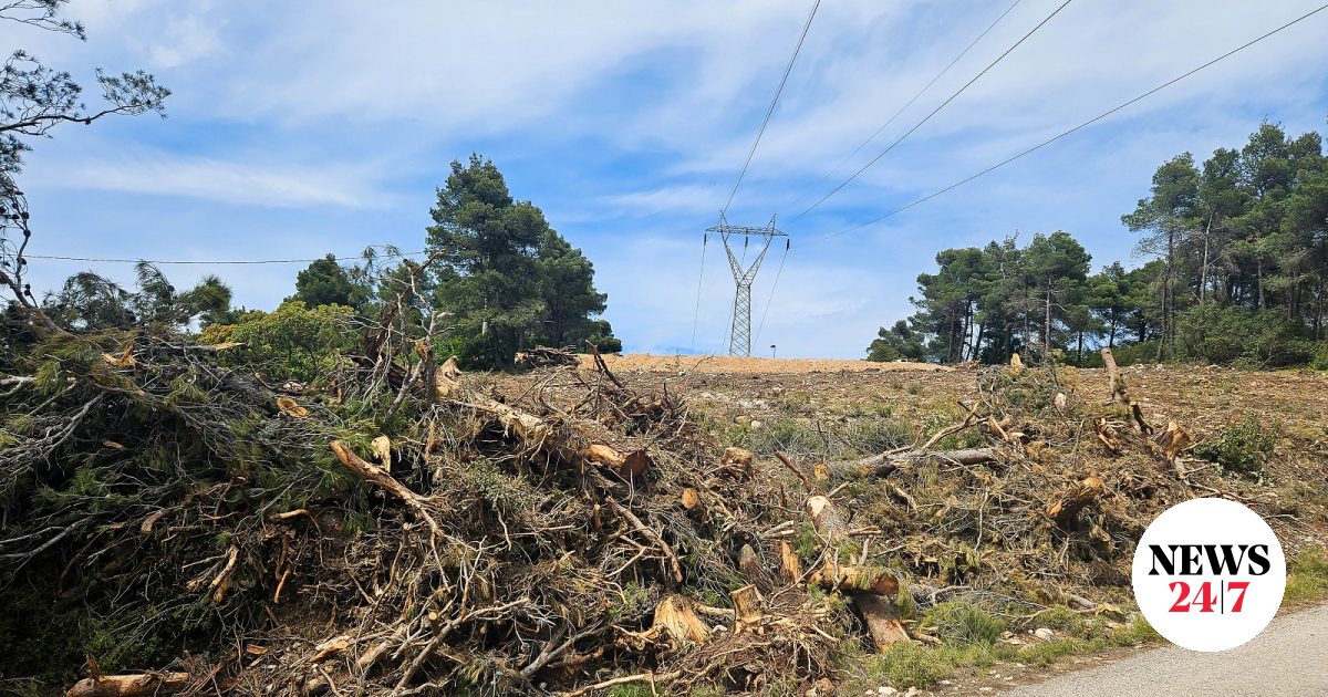 Ακαθάριστα οικόπεδα: Καμία παράταση στις δηλώσεις - Πότε λήγει η ...