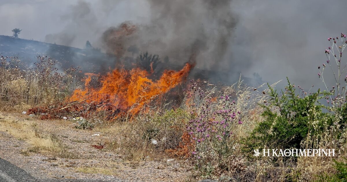 Φωτιά σε Κιλκίς και Νεστόριο Καστοριάς – Στη μάχη και εναέρια μέσα ...