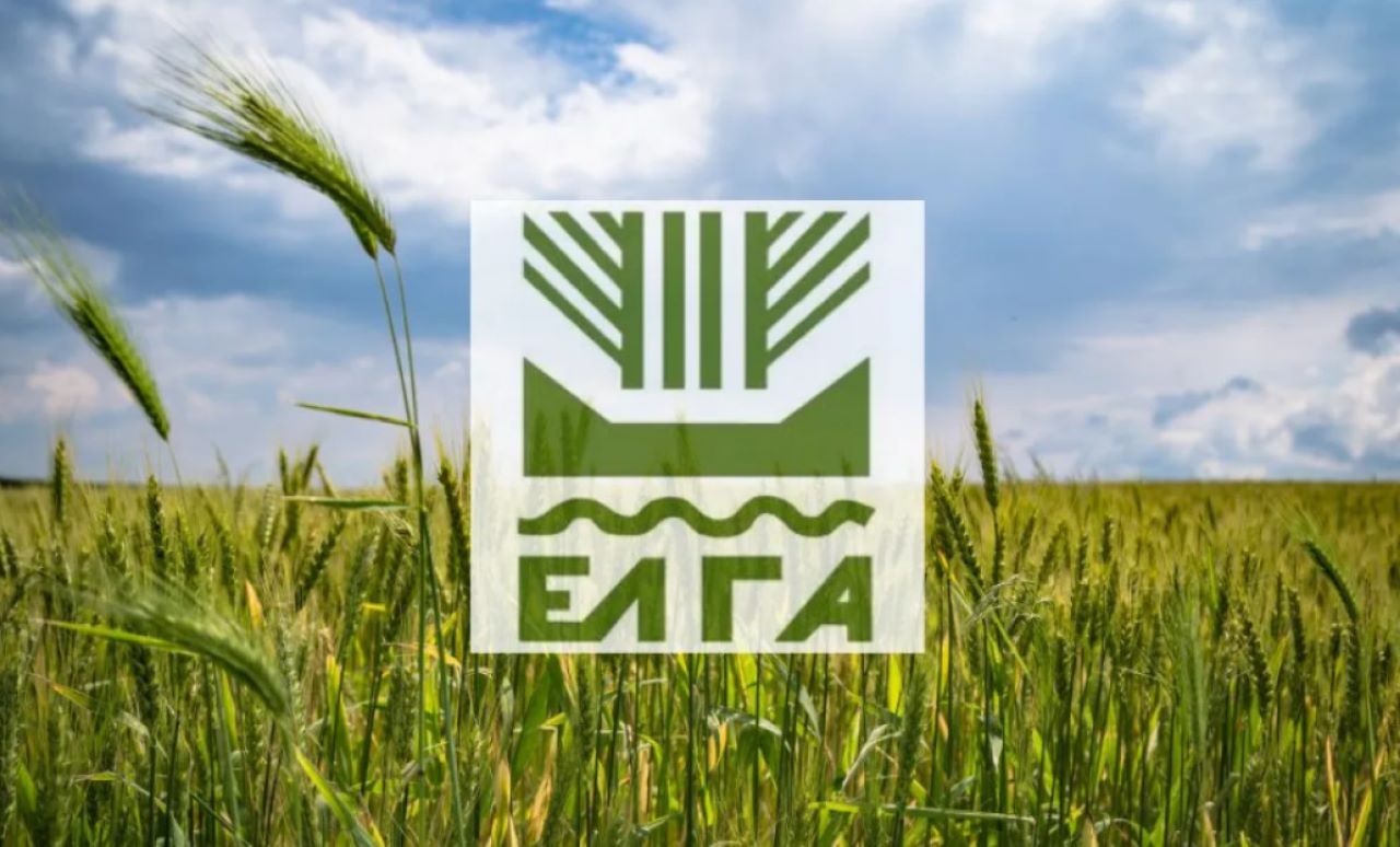 ΕΛΓΑ: Κονδύλια 1,2 εκ. για εκκαθαρίσεις αποζημιώσεων από τις πλημμύρες ...