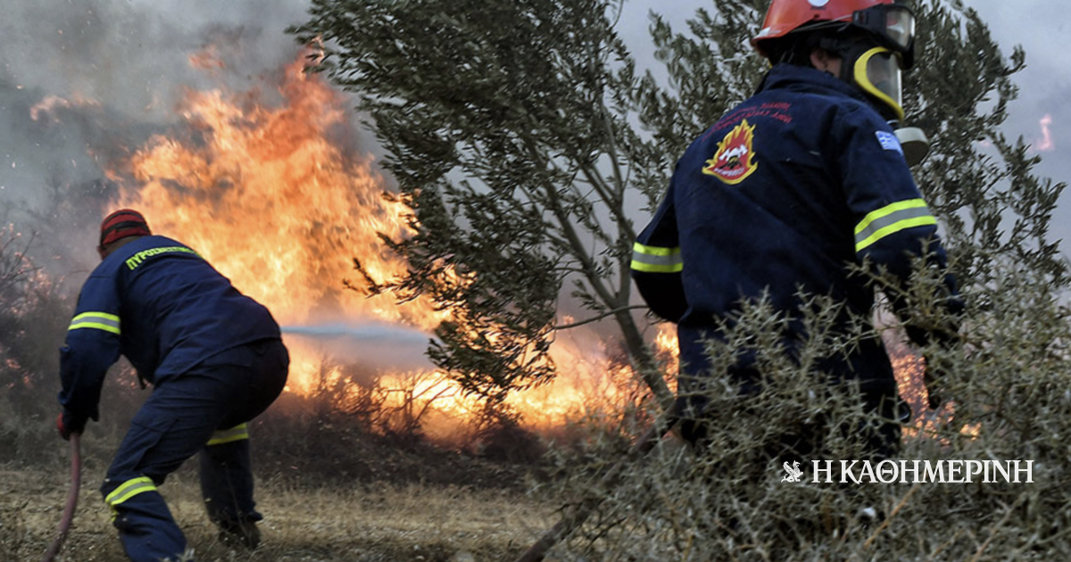 Φωτιά τώρα στο Παρθένι Αρκαδίας – Επιχειρούν και εναέρια μέσα - fotia ...