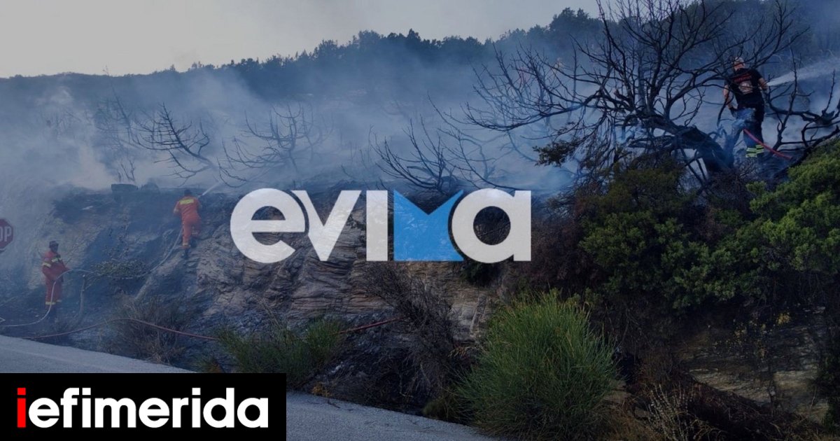 Φωτιά στην Εύβοια -Κάει σε ξερά χόρτα διπλά σε δρόμο στο Βατήσι ...