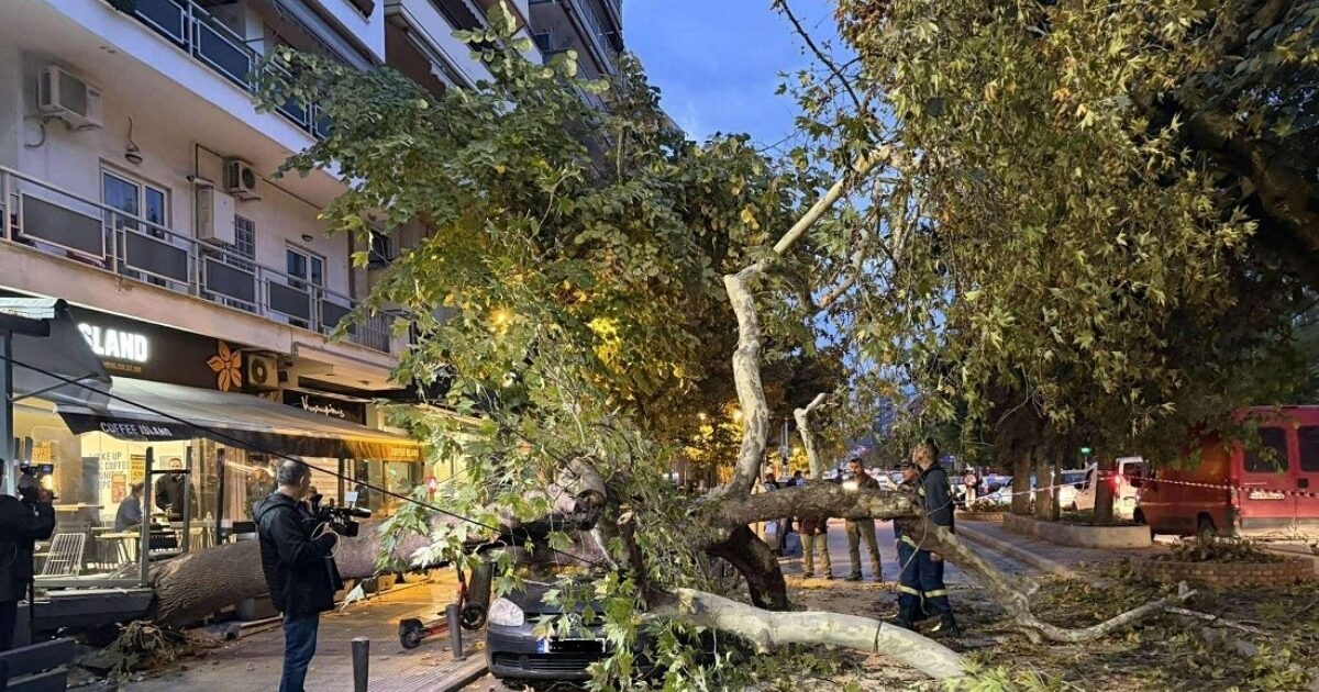 Θεσσαλονίκη: Δέντρο έπεσε σε αυτοκίνητο προκαλώντας ζημιές – Δείτε ...
