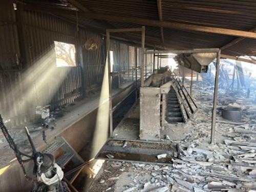 ΣΕ ΑΔΙΕΞΟΔΟ ΟΙ ΠΥΡΟΠΛΗΚΤΟΙ ΤΟΥ ΕΡΥΜΑΝΘΟΥ ΑΧΑΪΑΣ: Πλήρης η εγκατάλειψη ...