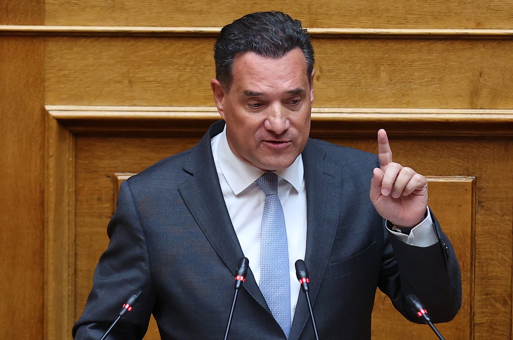 Άδωνις Γεωργιάδης: «Τα αγροτικά μπλόκα είναι μεγάλη αηδία, είναι ...