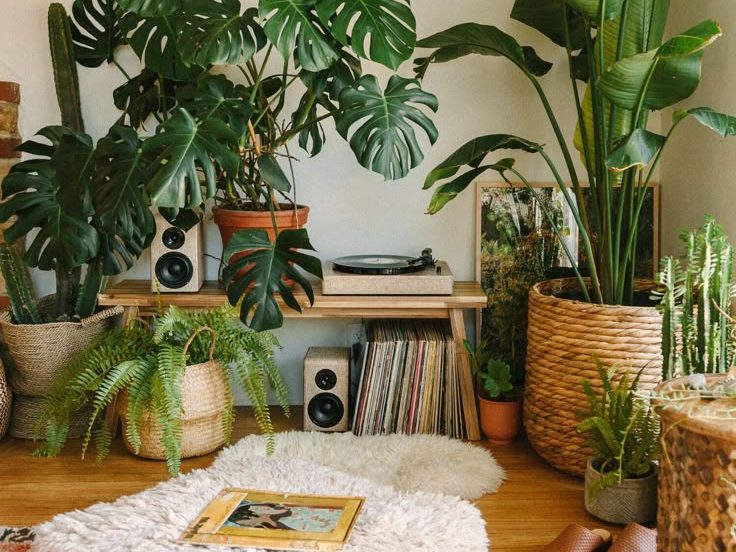 Το μυστικό που κρατάει τα φυτά ζωντανά όλο τον χειμώνα - to mystiko pou ...